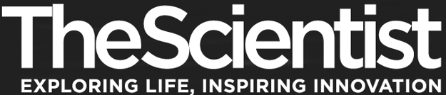 Genome Editing