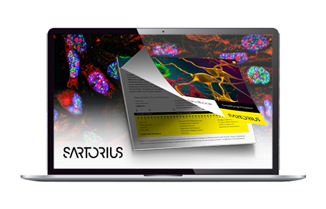 A Guide to Live-cell Imaging and Analysis