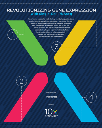 Revolutionizing Gene Expression with Single-Cell RNAseq