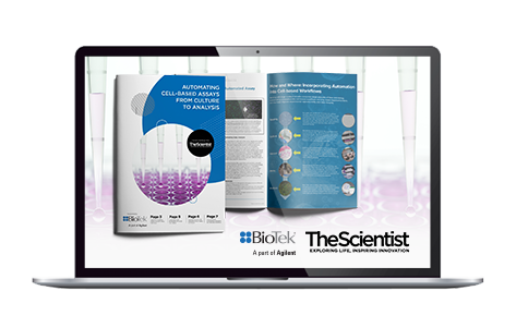 Automating Cell-based Assays from Culture to Analysis