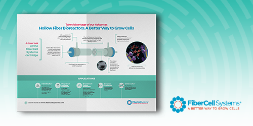 Hollow Fiber Bioreactors: A Better Way to Grow Cells