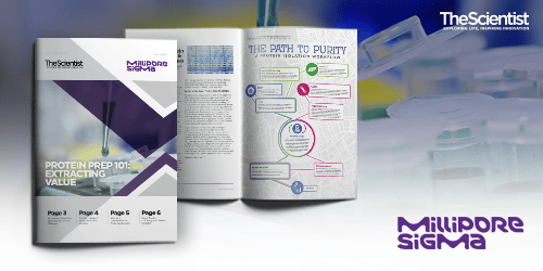 eBook - Protein Prep 101: Extracting Value