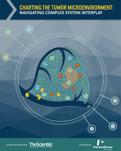 Charting the Tumor Microenvironment