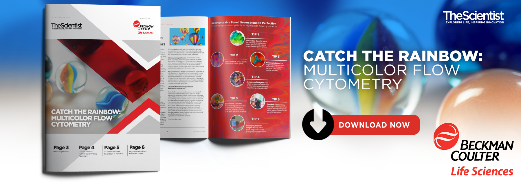 Catch the Rainbow: Multicolor Flow Cytometry