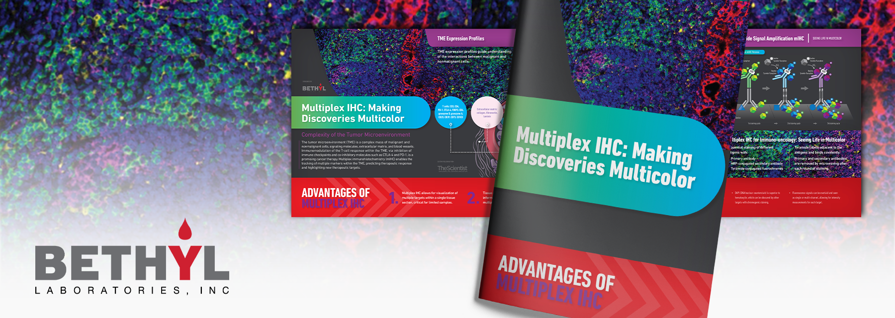 Multiplex IHC: Making Discoveries Multicolor