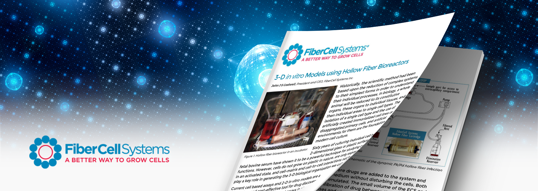 Recapitulating 3-D Microenvironments In Vitro Using Hollow Fiber ...