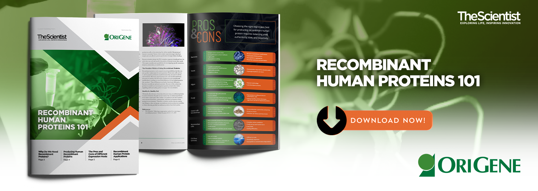 eBook - Recombinant Human Proteins 101