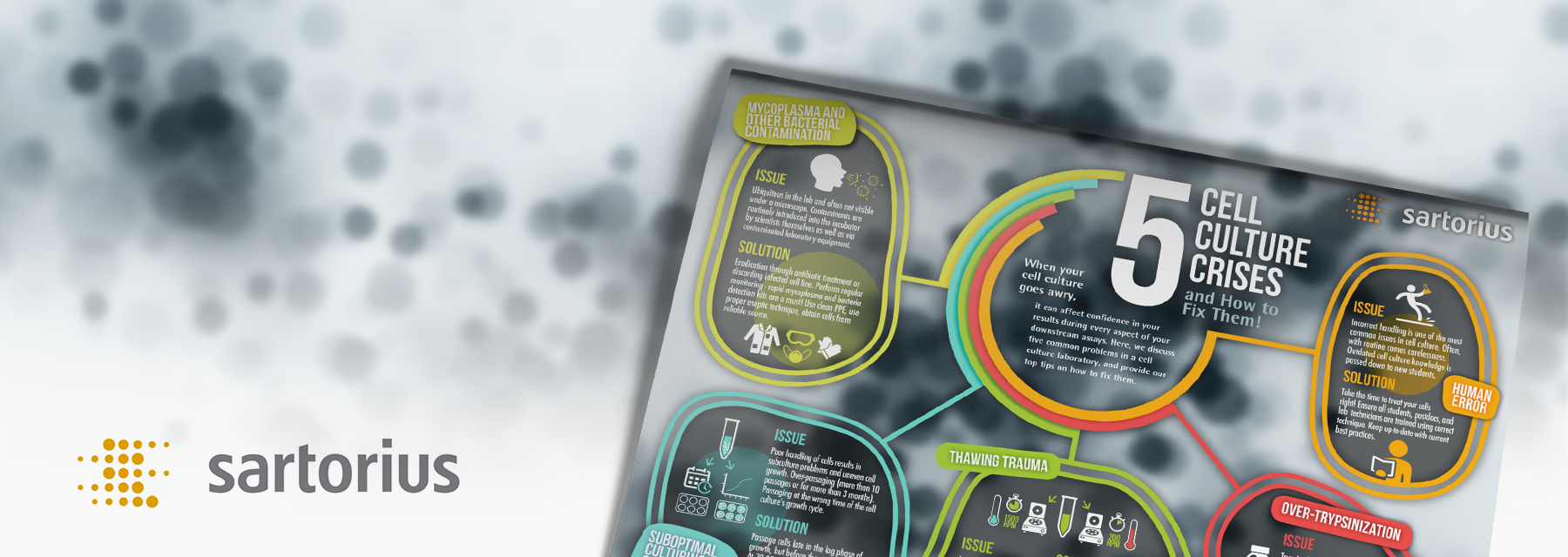 Five Cell Culture Crises... and How to Fix Them!