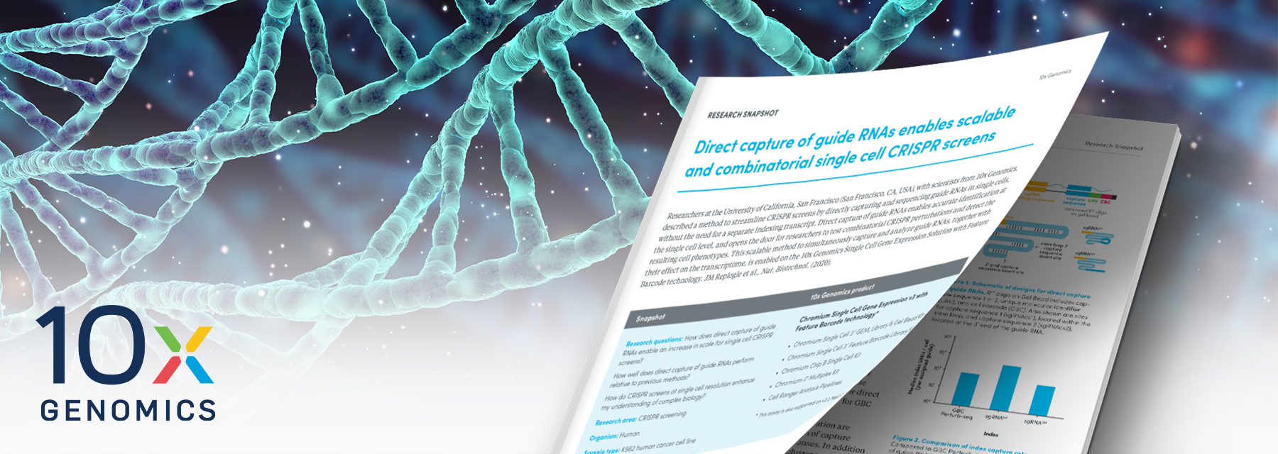 Accelerating Discovery with Single Cell CRISPR Screens