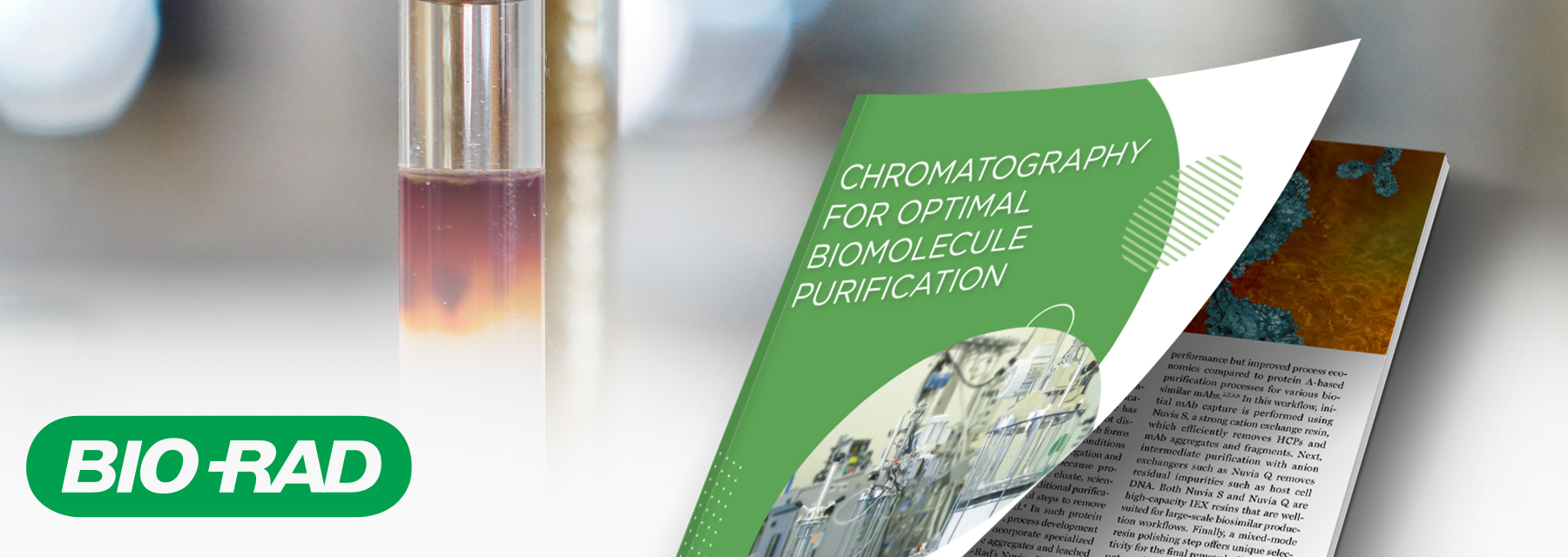 Streamlined Purification Workflows for Biomolecule Production