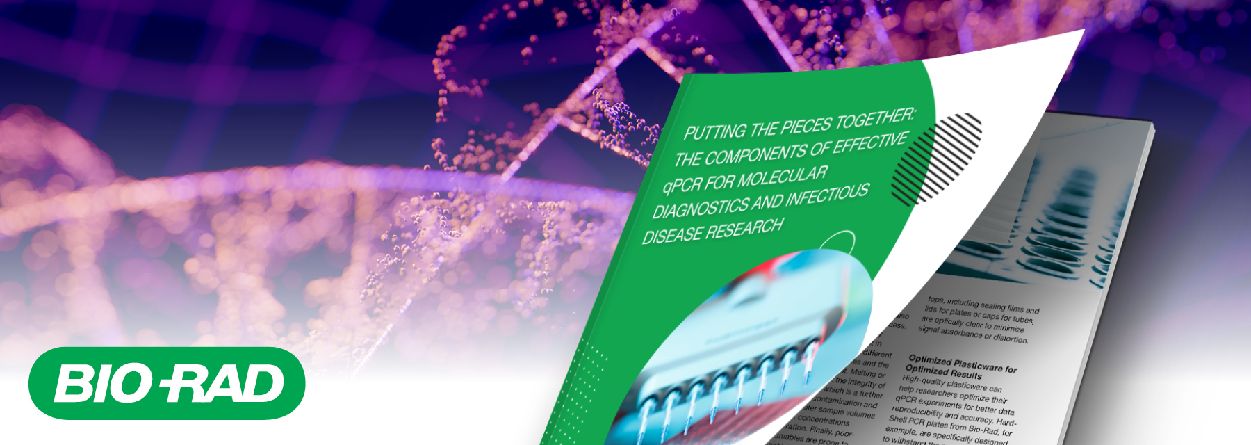 The Components of Effective qPCR