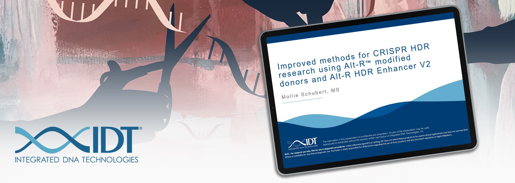 Improving CRISPR Homology-directed Repair (HDR) Rates
