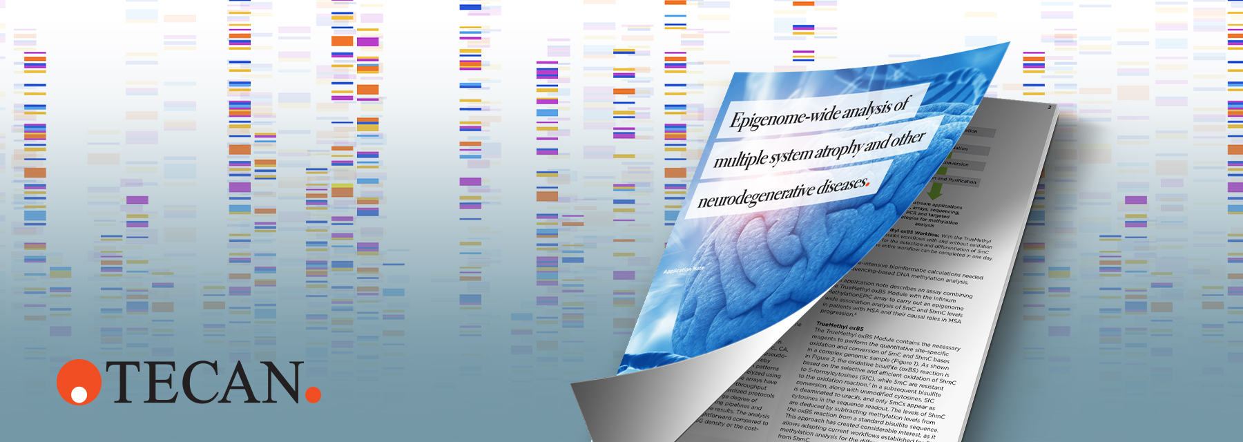 A Guide to Comprehensive Epigenic Analysis