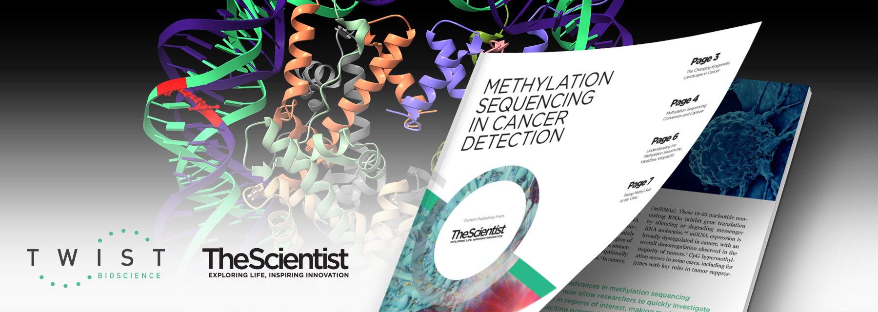 Methylation Sequencing in Cancer Detection