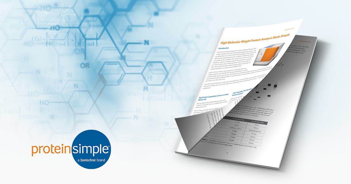 High Molecular Weight Protein Analysis Made Simple