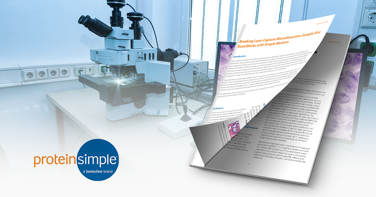 Overcoming Low Sample Abundance with Capillary-based Immunoassays