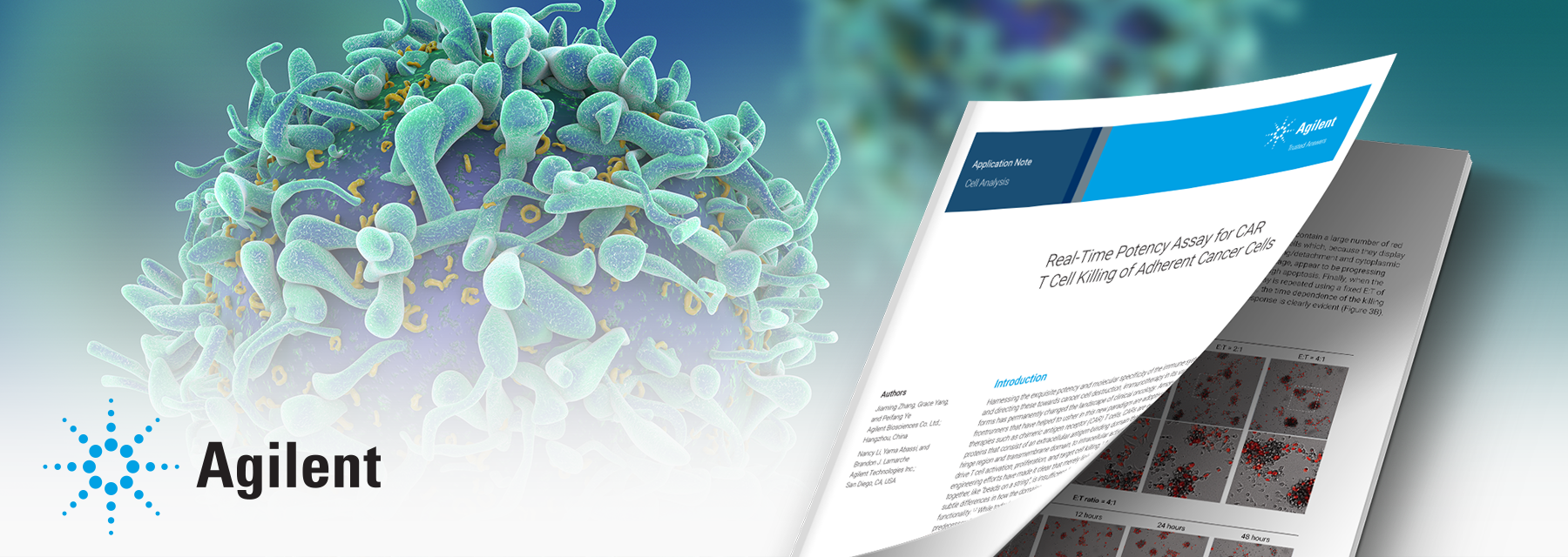 Analyzing CAR T Cell Activity: The eSight Assay