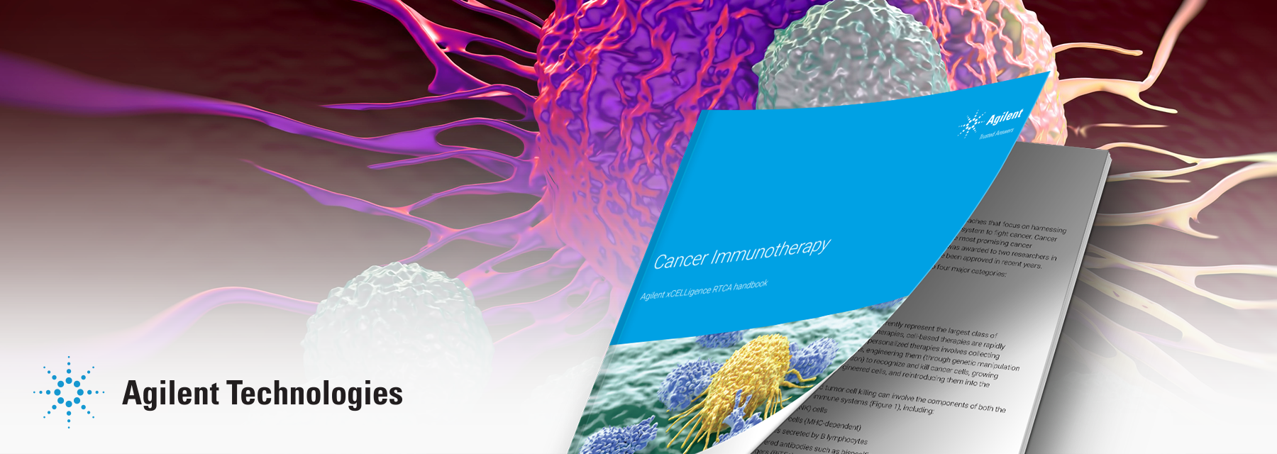 Real-time cell analysis for developing cancer immunotherapy
