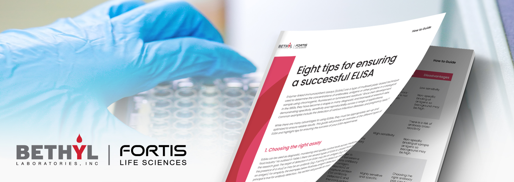 Tips and Tricks for Successful ELISAs