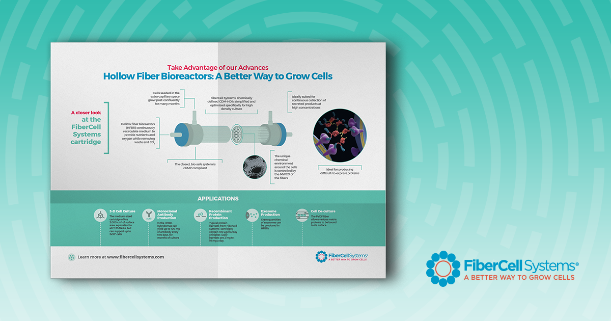 Hollow Fiber Bioreactors: A Better Way to Grow Cells