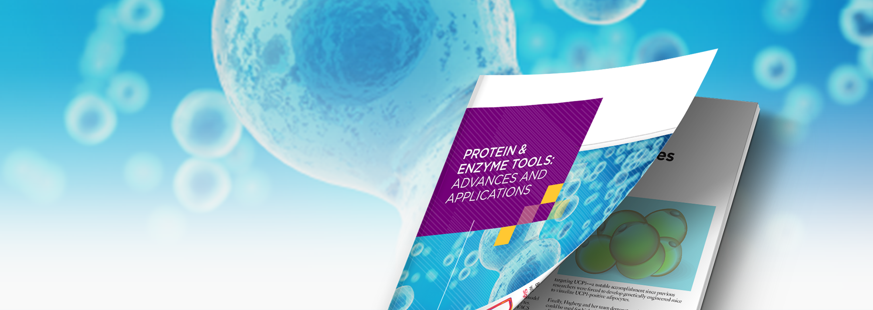 Protein and Enzyme Tools: Advances and Applications