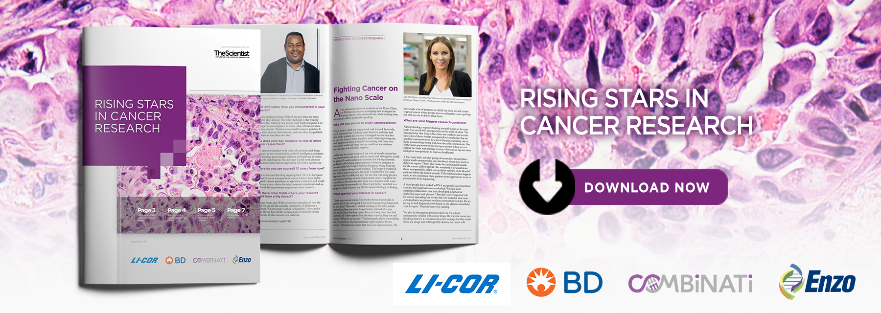 Rising Stars in Cancer Research