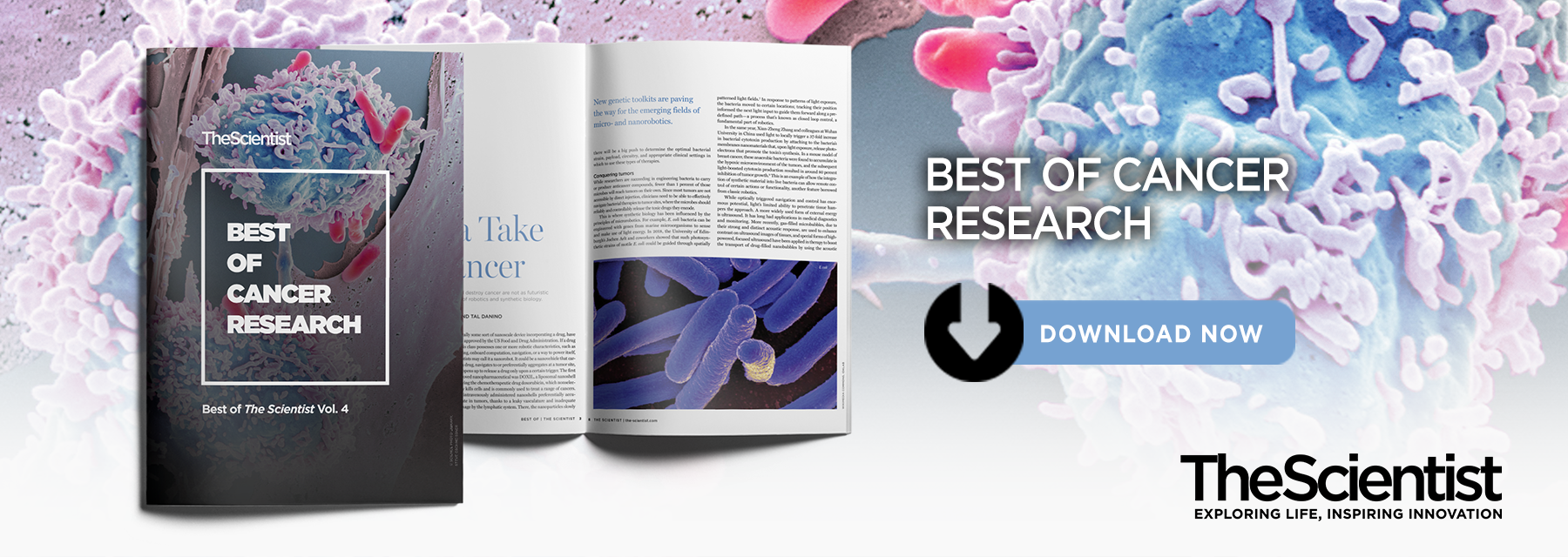 Best of Cancer Research