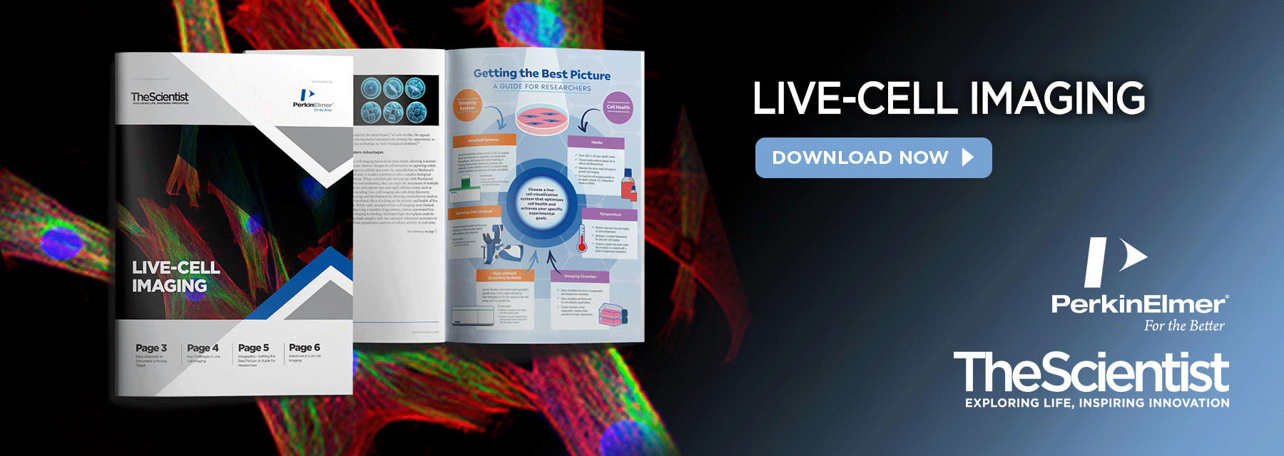 Live-cell Imaging